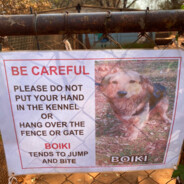 Steam Community :: Boiki