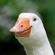 Steam Community :: Mike Oxmaul