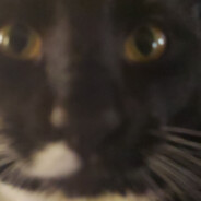 Steam Community :: [Friendly Pyro]