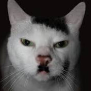 Steam Community :: ChAdolf Hitlair