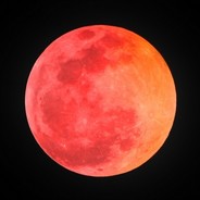 Steam Community :: Radeen