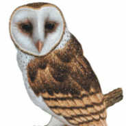 Steam Community :: Soren Tyto