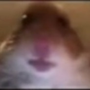 Steam Community :: buff mouse