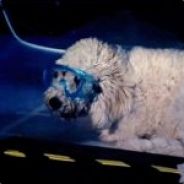 Steam Community :: Top Gear Dog