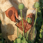 Steam Community :: OPIUM_OTCHIMA