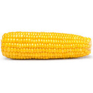 Steam Community :: Corn