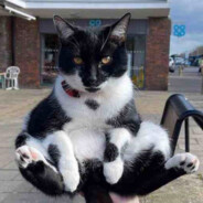 Steam Community :: Gherkin Off