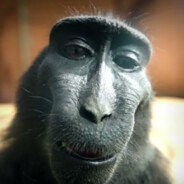 Steam Community :: MR.RIZZY