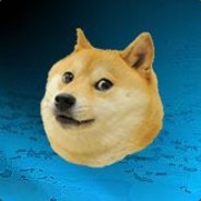 Steam Community :: Doge With Blue Background