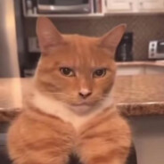 Steam Community :: mewing final boss