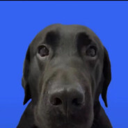 Steam Community :: Knxxx