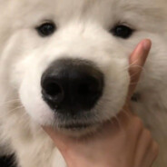 Steam Community :: xydyd