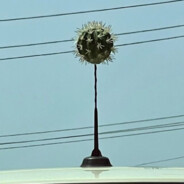 Steam Community :: StratoNimbus