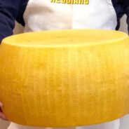 Steam Community :: Big Cheese