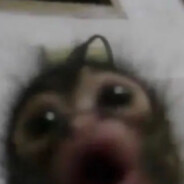 Steam Community :: monkey