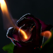 Steam Community :: K1ko