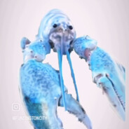 Steam Community :: ???Kvadrober???