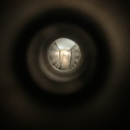 Steam Community :: Walker Flocker Flame