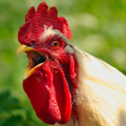 Steam Community :: gaidys