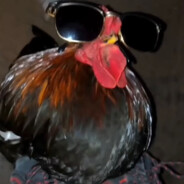 Steam Community :: chicken from FBI