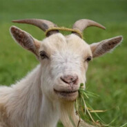 Steam Community :: Goat