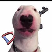 Steam Community :: Adolf trippler