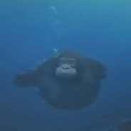 Steam Community :: brinzy