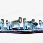 Steam Community :: seven wolf