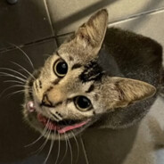 Steam Community :: XxSigmaSkibidixX@kiji1674.com