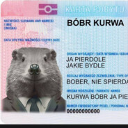 Steam Community :: BoberKurwa