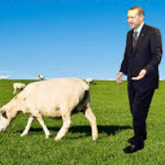 Steam Community :: Der.Turbo.Eshek