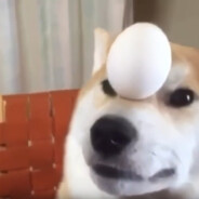 Steam Community :: GNOGN