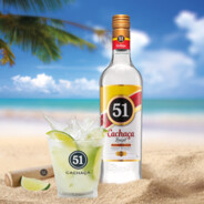 Steam Community :: pinga 51