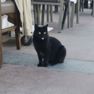 Steam Community :: micromic