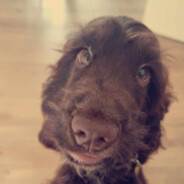 Steam Community :: GLS - bomb service.