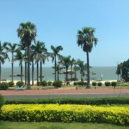 Steam Community :: Commander_Z