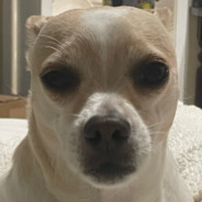 Steam Community :: 𝐏𝐲𝐫ø