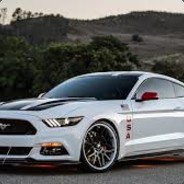 Steam Community :: Group :: Stang_Gang