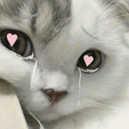 Steam Community :: ♡ BEBRIK