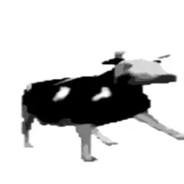 Steam Community :: Polish cow