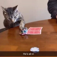 Steam Community :: High Intelligence Specimen