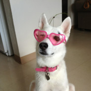 Открыть кейс Rust Золотой за 300 ₽ | Rust4Real