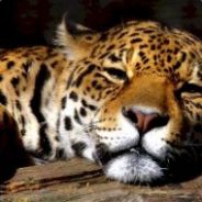 Steam Community :: bugsman