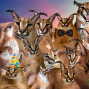 Steam Community :: floppa