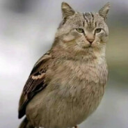 Steam Community :: Yala