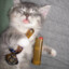 Steam Community :: CatNip :: Item Inventory
