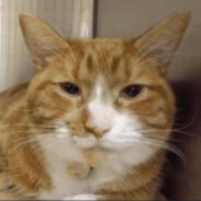 Steam Community :: neok