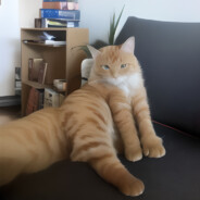 Steam Community :: Smell