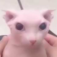 Steam Community :: large binkus