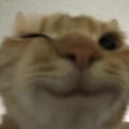 Steam Community :: Frontik